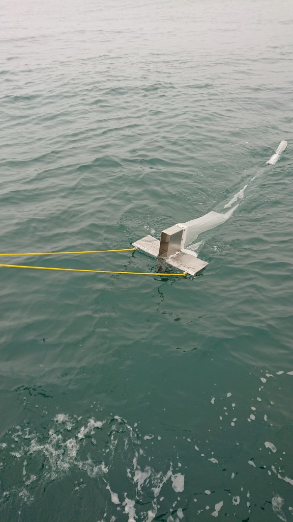 The Story so Far….